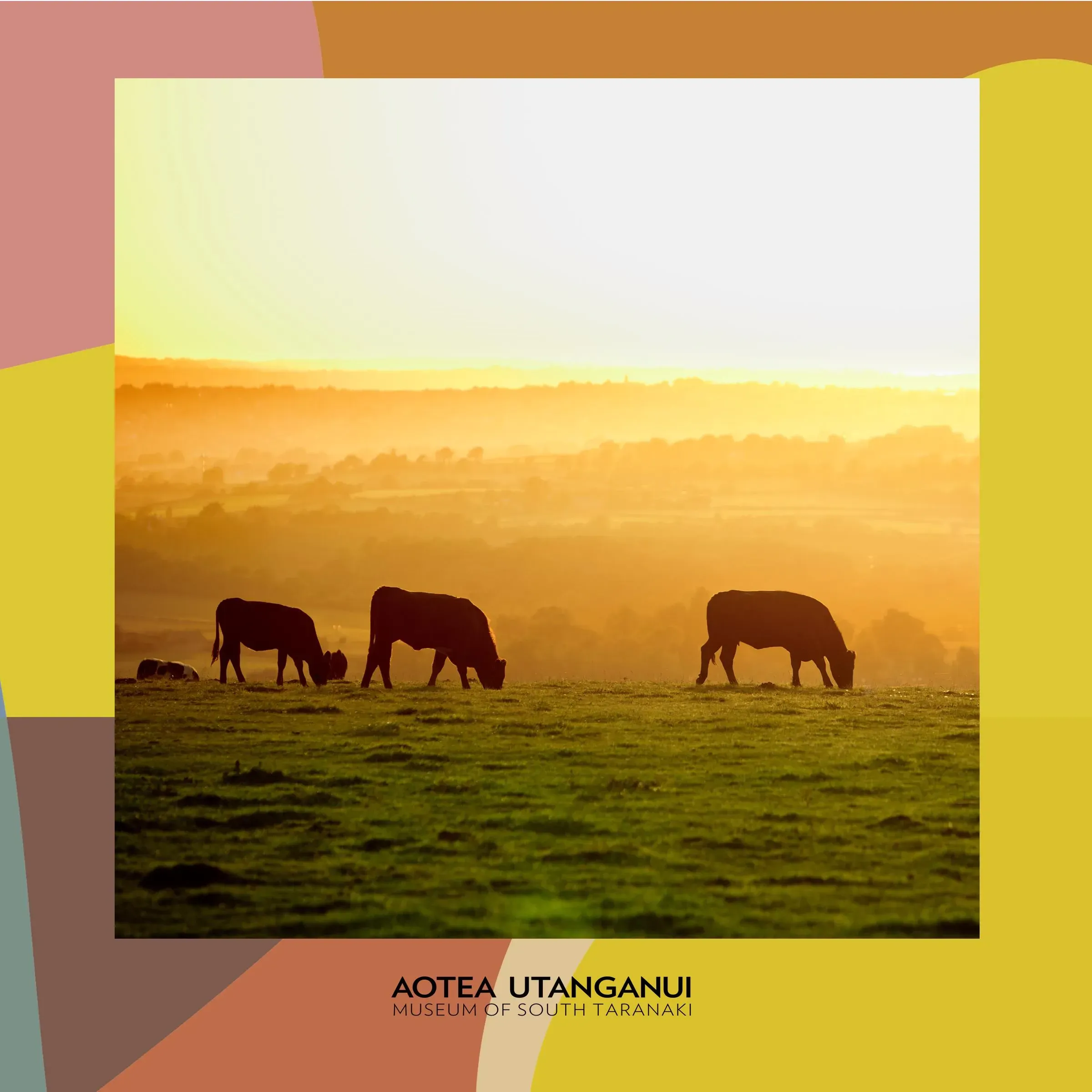 New Exhibition at Aotea Utanganui Museum of South Taranaki | The Big Idea