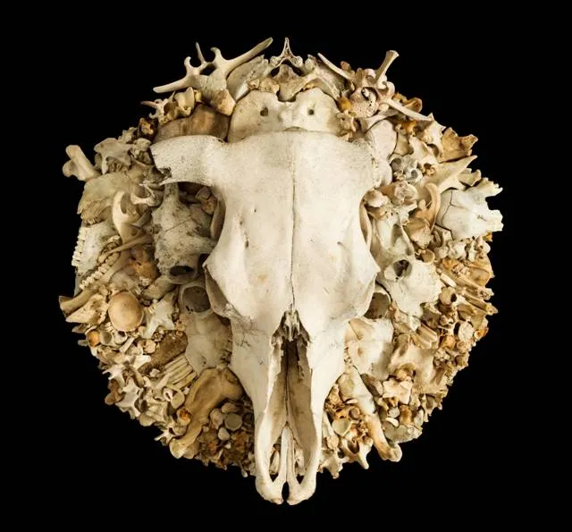 Latest Art from Bone Man Extraordinaire | The Big Idea