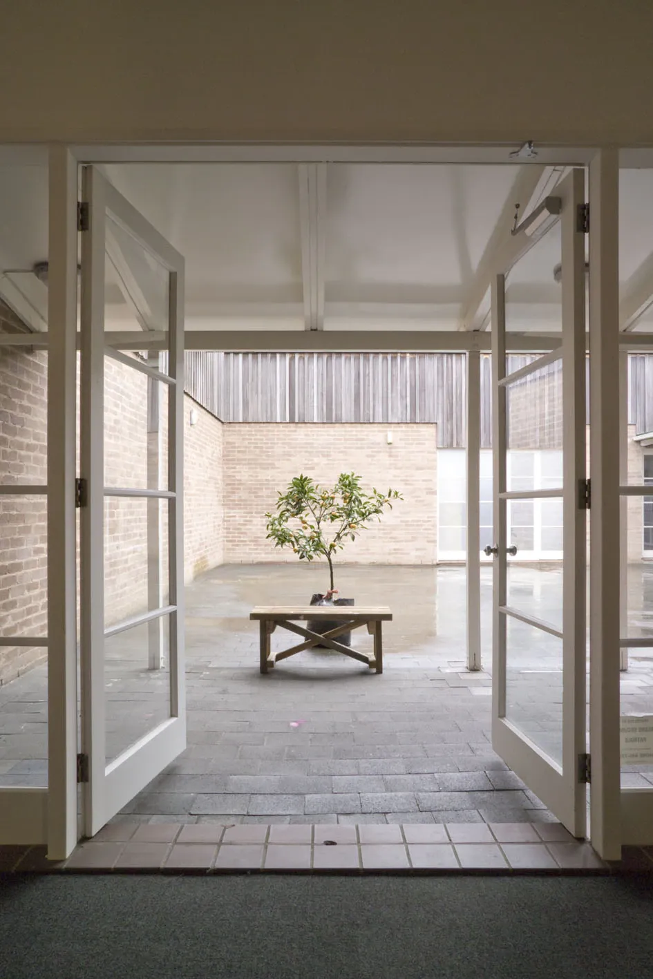 Freedom Fruit Gardens | The Big Idea