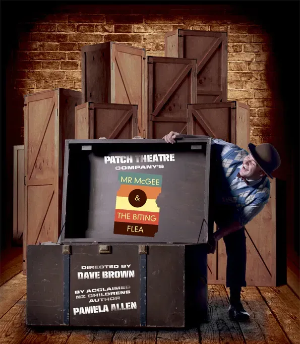 Mr McGee & the Biting Flea | The Big Idea